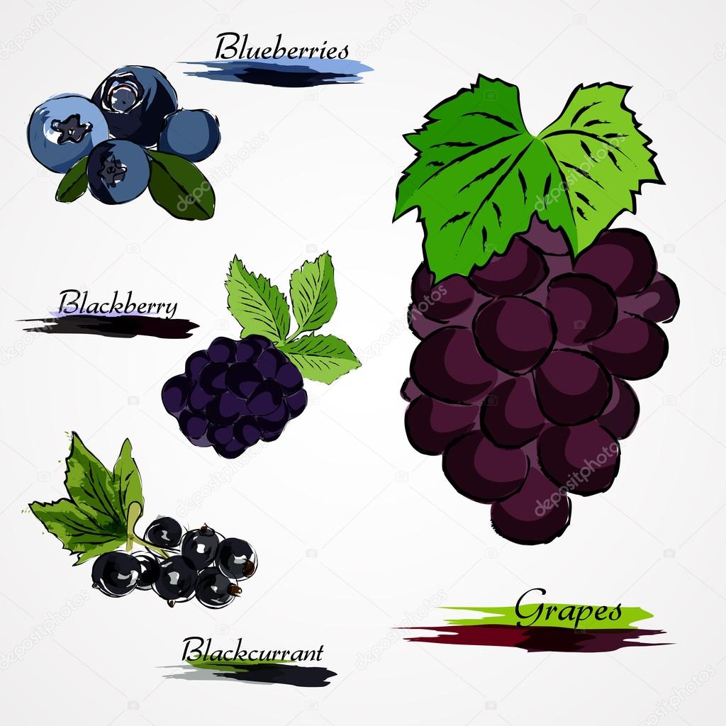 Set of fruits Stock Vector by ©Kg.karolina 84688380