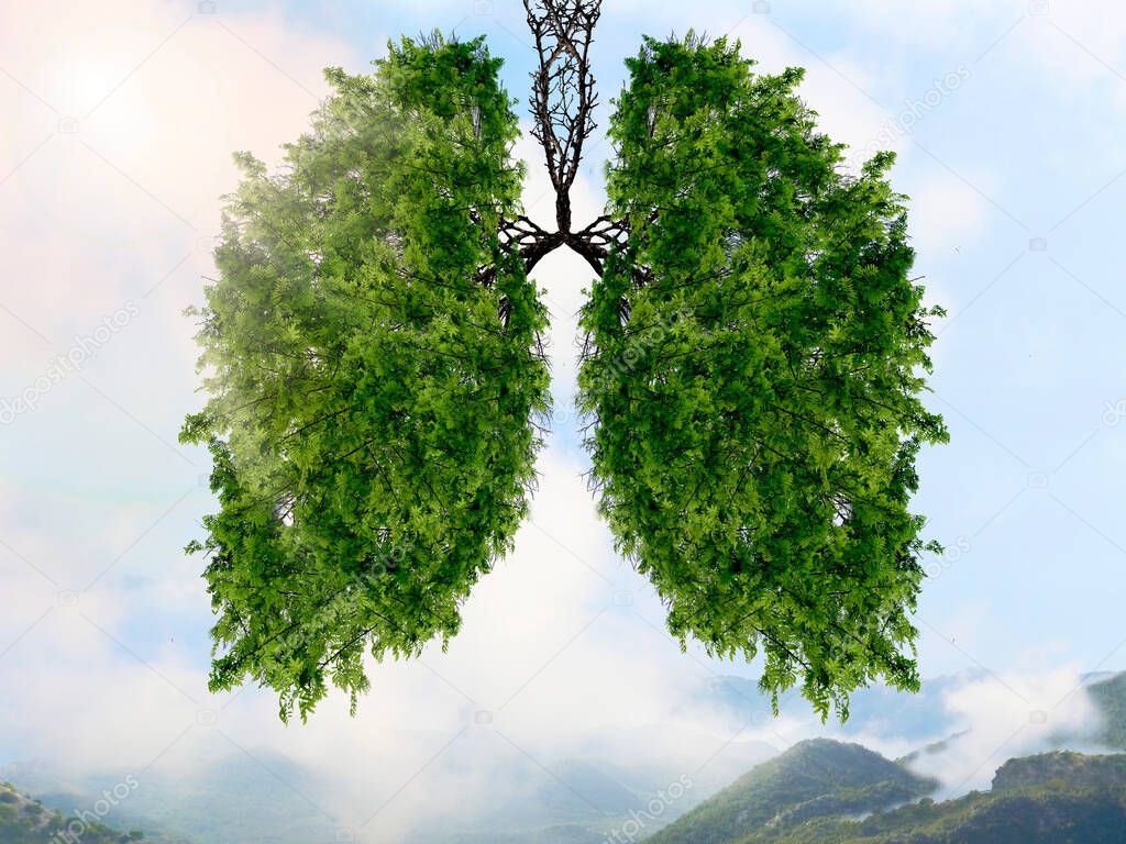 La silueta de los pulmones sobre el fondo de un paisaje montañoso. Los ...