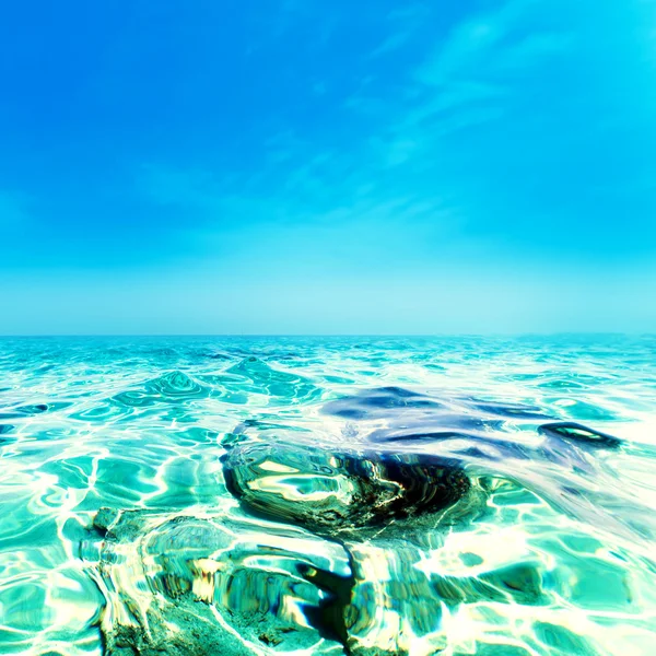 Beauty under water Stock Photos, Royalty Free Beauty under water Images ...