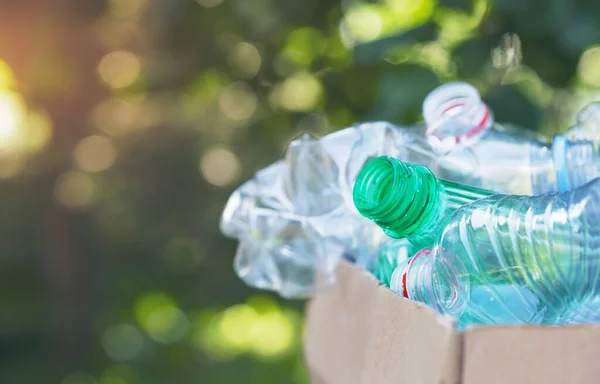 Recycle garbage box with plastic bottles ready for recycling, waste ...