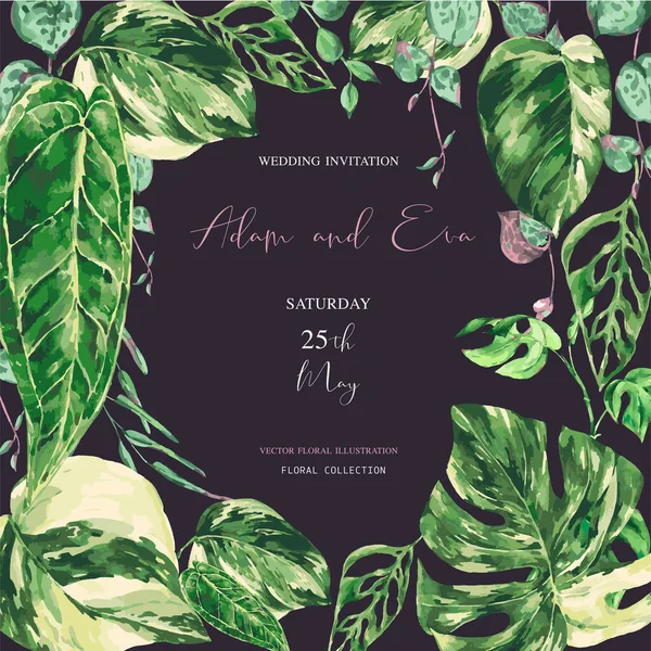 Vector Watercolor Tropical Green Leaves Monstera Variegated Greenery