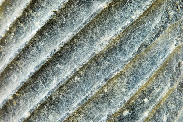 Horn texture Stock Photos, Royalty Free Horn texture Images | Depositphotos