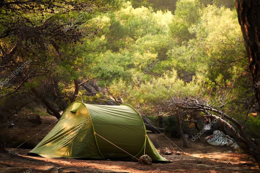 Wilderness camp on green forest Stock Photo by ©linux1987 70271693