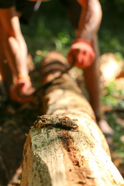 Hands of a carpenter planed wood, workplace hand tools lathe, beautiful ...