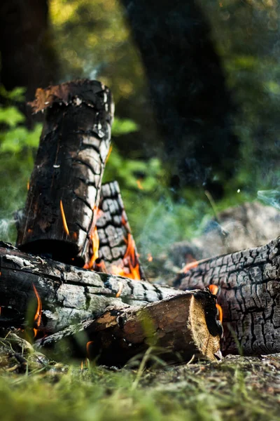 Firewood burns in a fire with smoke coming out of it. Bonfire from ...
