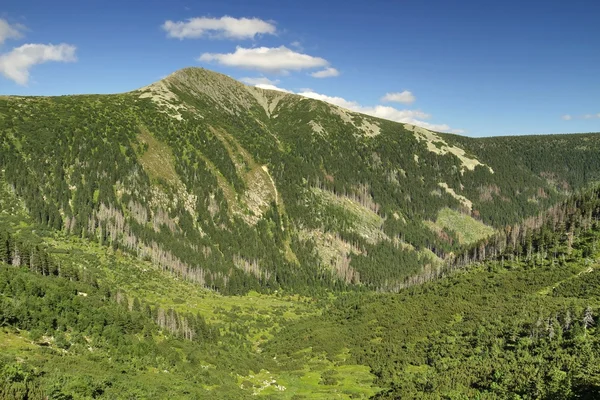 Obri dul Stock Photos, Royalty Free Obri dul Images | Depositphotos