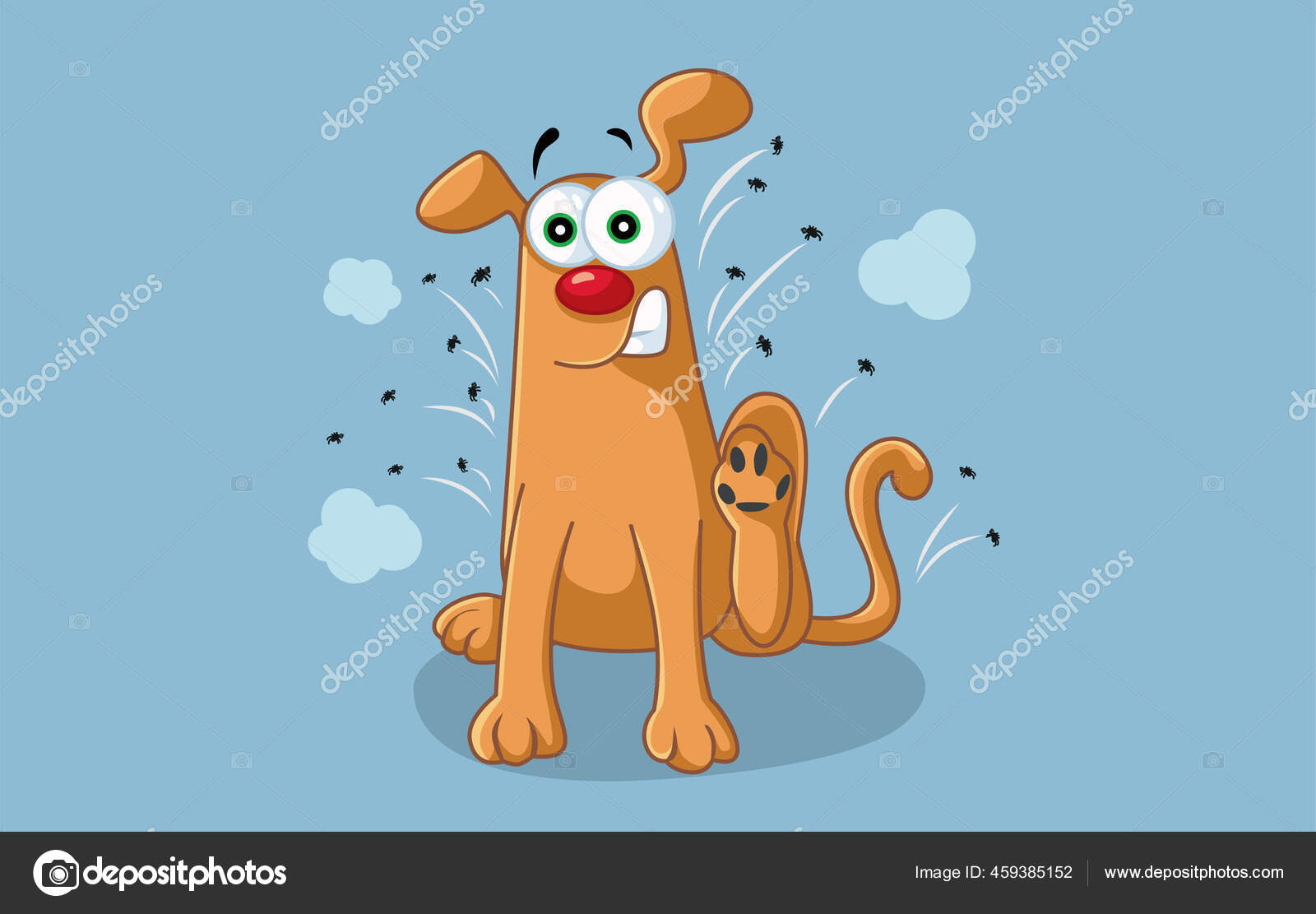 Hond Krabt Clipart Anaalklieren Bij Honden: Typische Problemen,