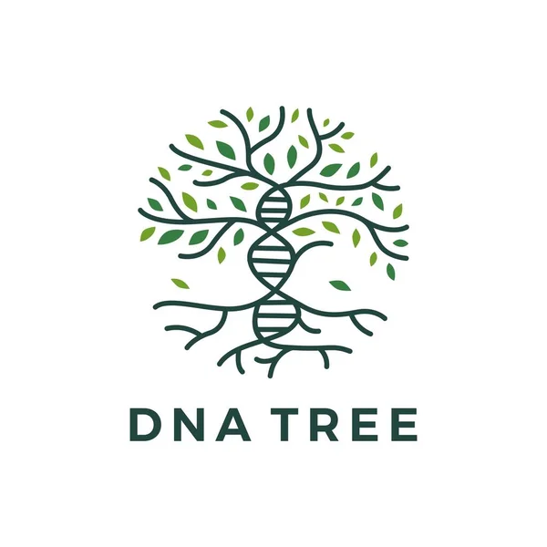 Dna tree Vector Images | Depositphotos