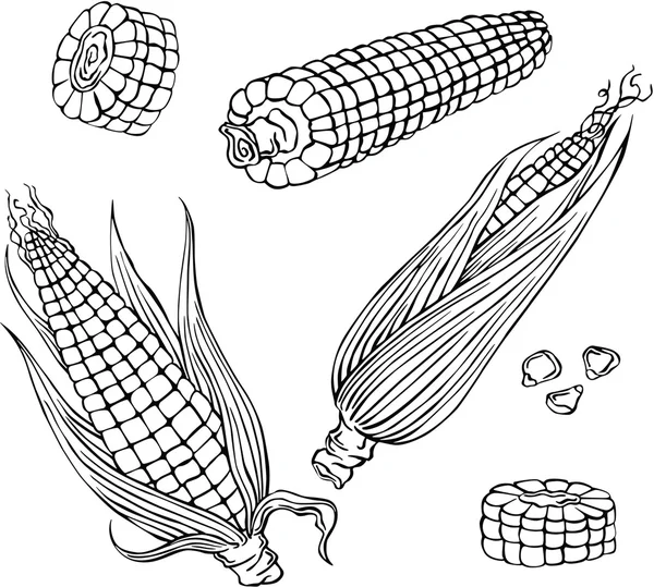 100,000 Corn maps Vector Images | Depositphotos