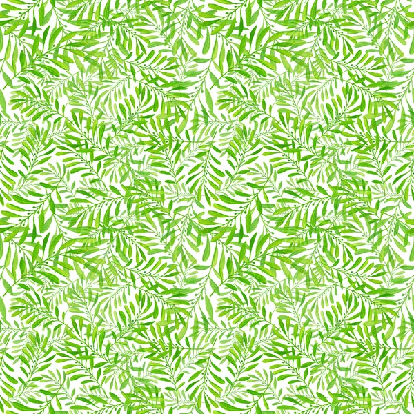 Green summer background Stock Photos, Royalty Free Green summer ...