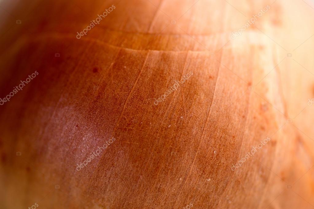 Macro of onion peel texture Stock Photo by ©decius 56308041