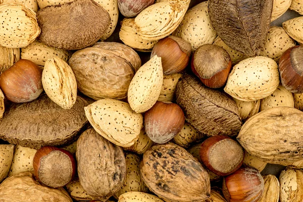 Mixed Nuts Seamless Texture Tile Stock Photo by ©AlliedComputerGraphics ...