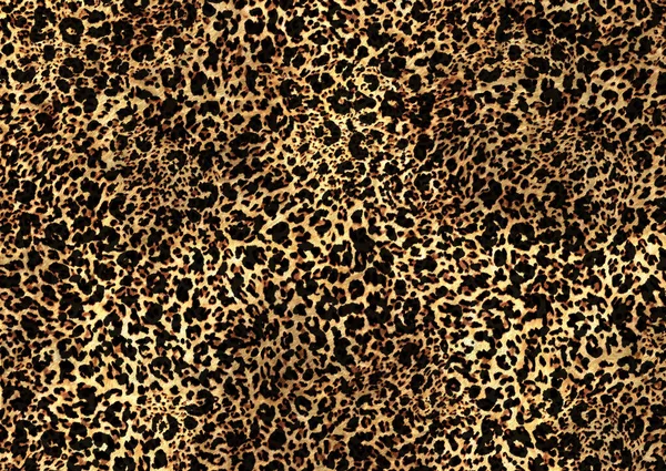 Wild Animal pattern collage Stock Photo by ©MalyDesigner 28728309