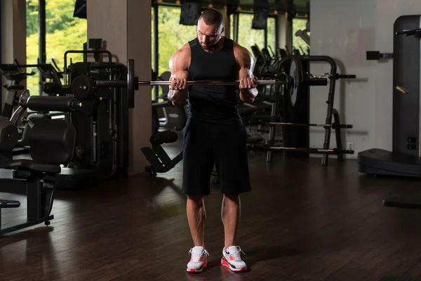 Big Man Exercise Biceps With Barbell - Stock Image - Everypixel