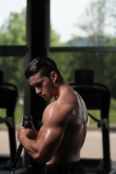 Dramatic lighting Stock Photos, Royalty Free Dramatic lighting Images ...