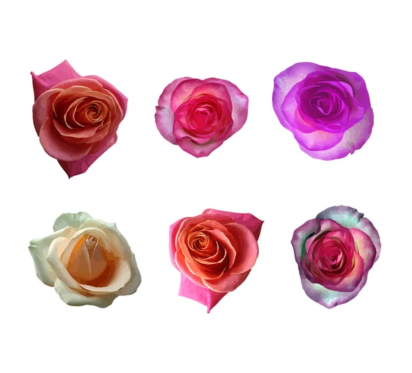 six rose silhouette — Stock Vector © Dr.PAS #6329143