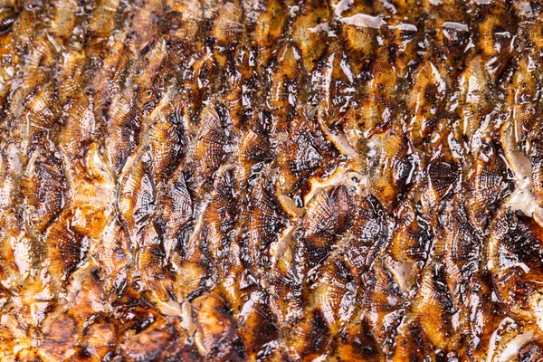 grilled fish scales — Stock Photo © indigolotos #54266083