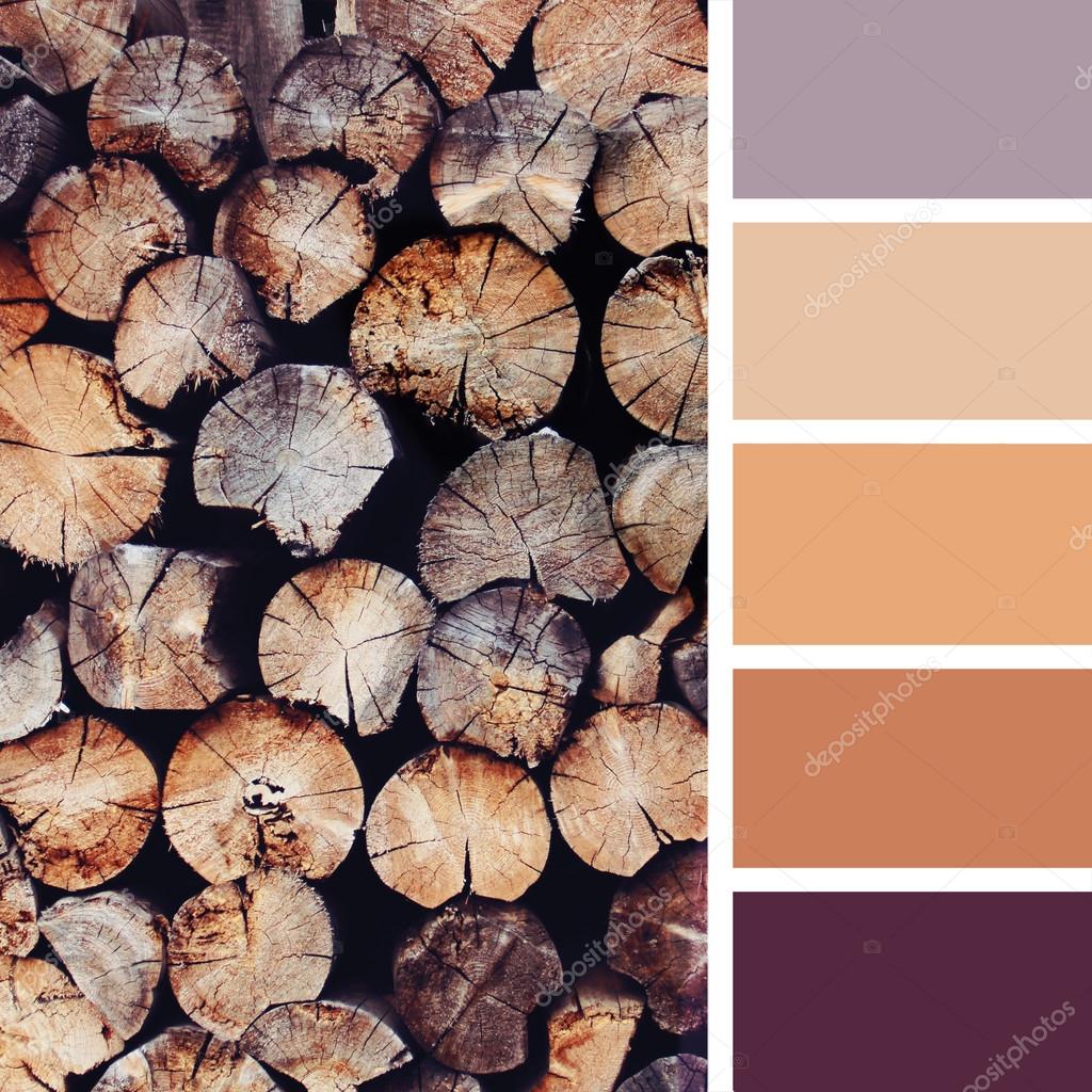 Natural Wood Color Palette | ppgbbe.intranet.biologia.ufrj.br