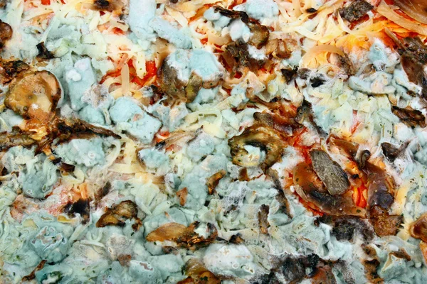 Not fresh. Old moldy pizza Stock Photo by ©Adam88xxx 112591920