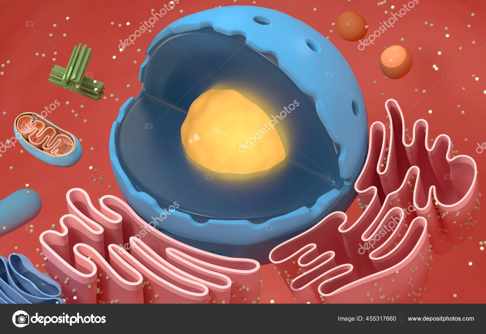 Real Life Animal Cell
