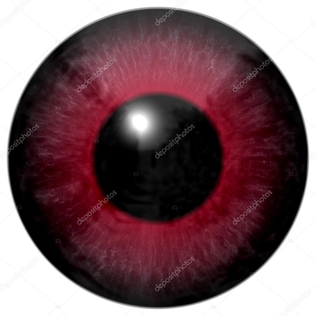 Abstract red eye isolated on white — Stock Photo © firstpentuer #92021570