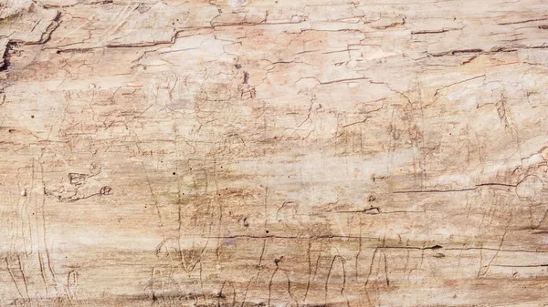 Soot texture background Stock Photos, Royalty Free Soot texture ...