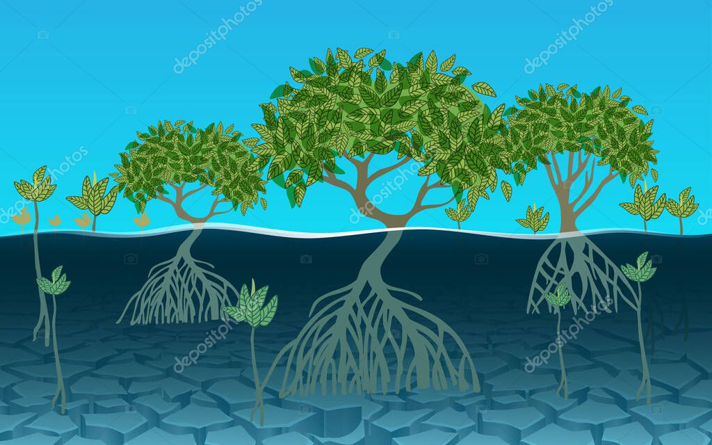 Paisaje Manglar Playa Vector de stock por ©aekaek55555555@gmail.com ...