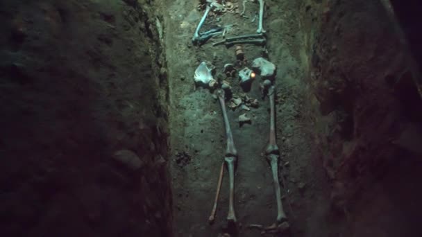 226 Bones decay Stock Videos, 4K & HD Footage | Depositphotos