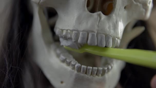 22,097 Skeleton Videos, Royalty-free Stock Skeleton Footage | Depositphotos