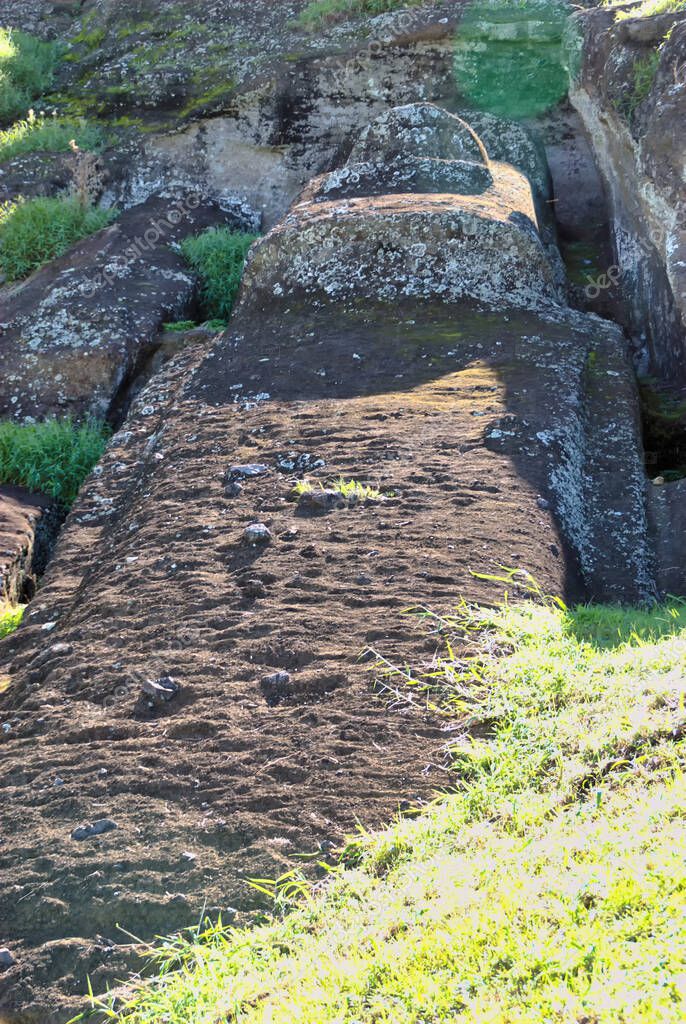 Este es el moai más grande jamás tallado en la isla de Pascua. Todavía ...