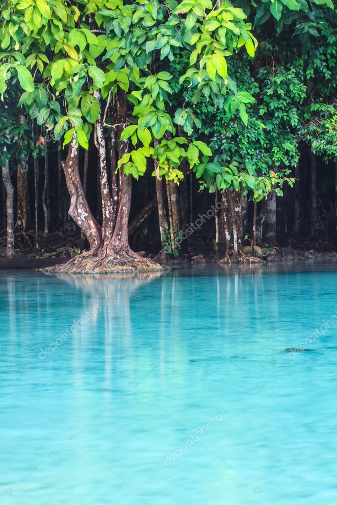 Emerald Pool (Sra Morakot) Krabi province , Thailand. — Stock Photo ...