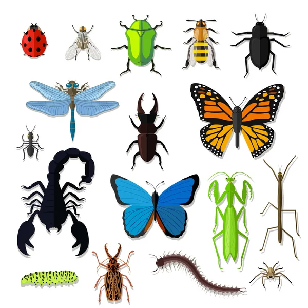Grupo de insectos imágenes de stock de arte vectorial | Depositphotos