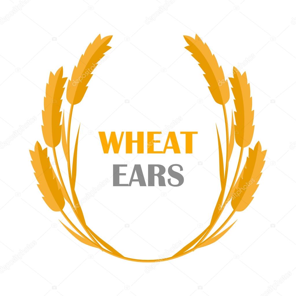 Wheat Ears Concept Illustration in Flat Design. Stock Vector by ...