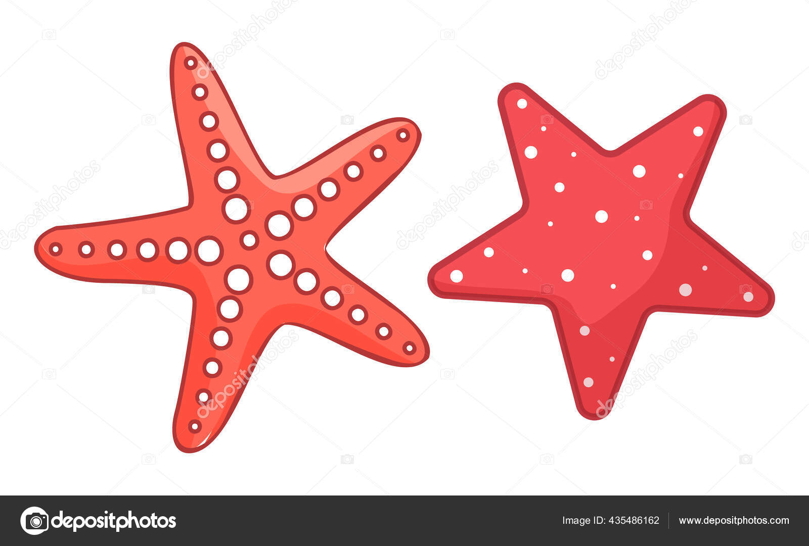 Starfish, sea or ocean symbols isolated at white, coral stars, sea ...