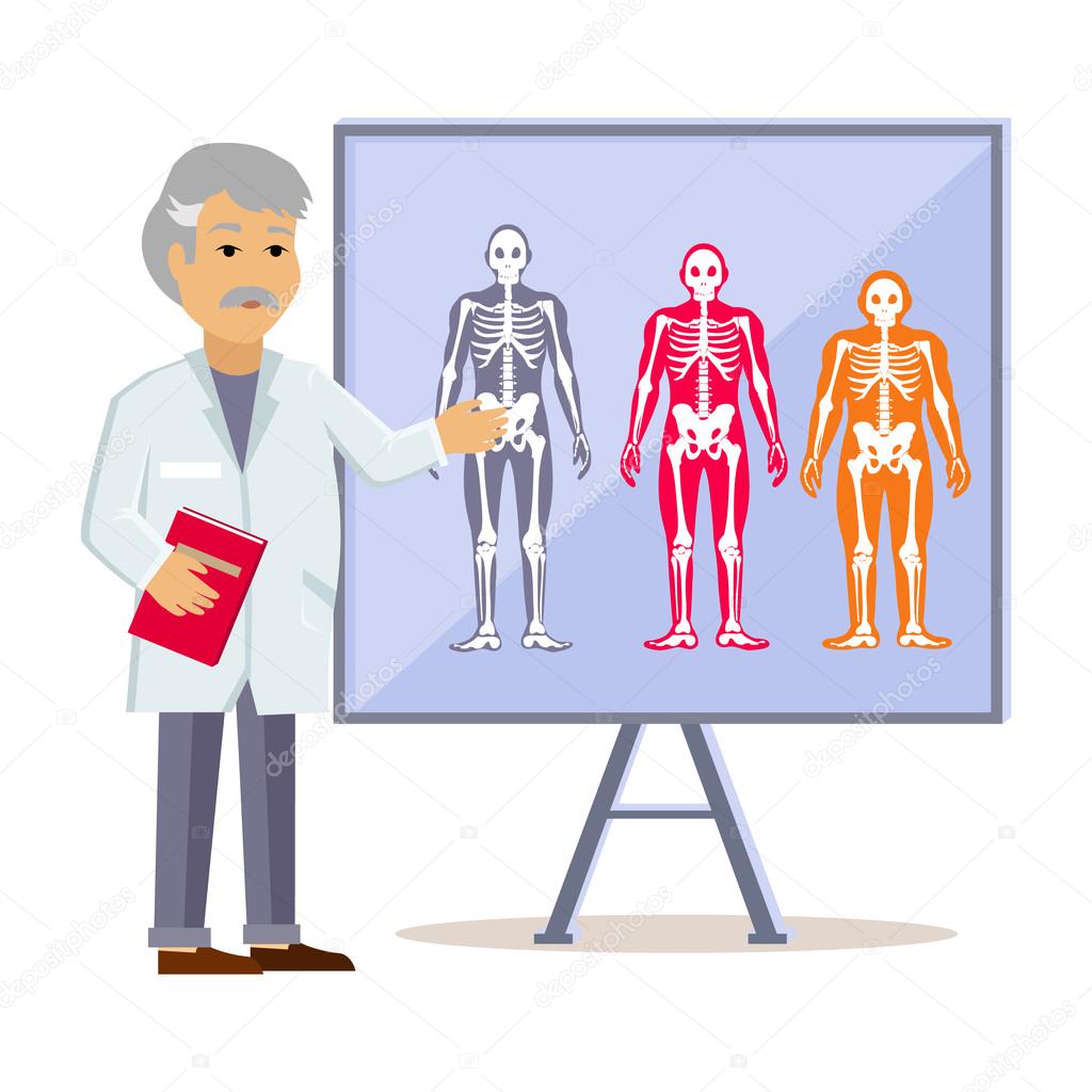 Doctor Shows Type Human Body ⬇ Vector Image by © robuart | Vector Stock ...