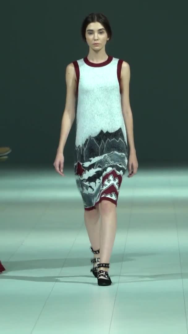 37,146 Ai model Videos, Royalty-free Stock Ai model Footage | Depositphotos