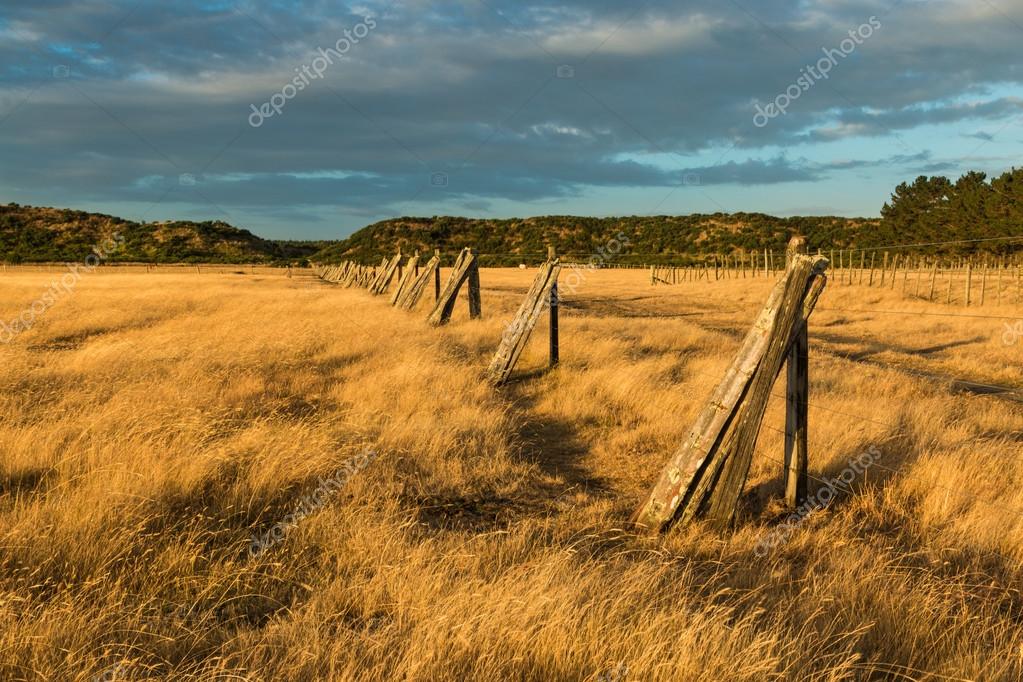 Fence Posts Line Stock Photo by ©rghenry 63754677