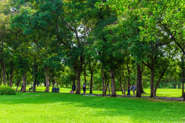 Beautiful park landscape Stock Photos, Royalty Free Beautiful park ...