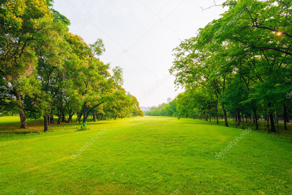 City park with green grass field Stock Photo by ©benedixs 94051834