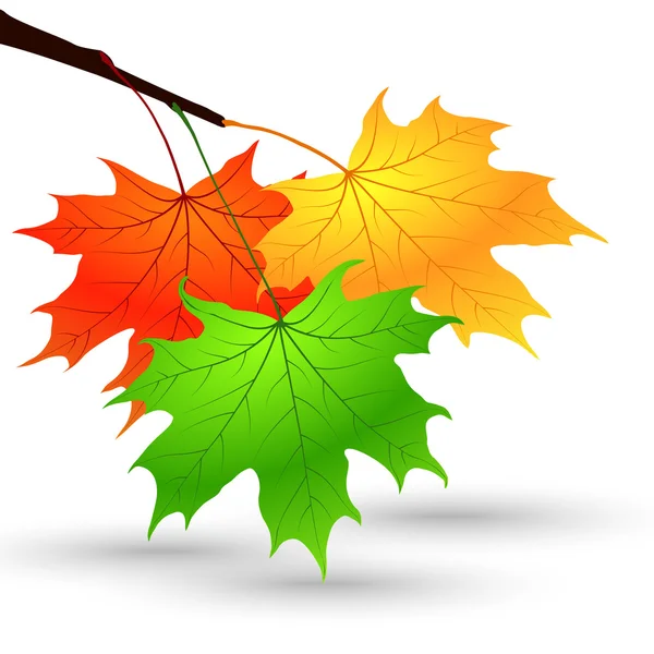 Golden leaf Stock Vector Image by ©tajim1 #2799828