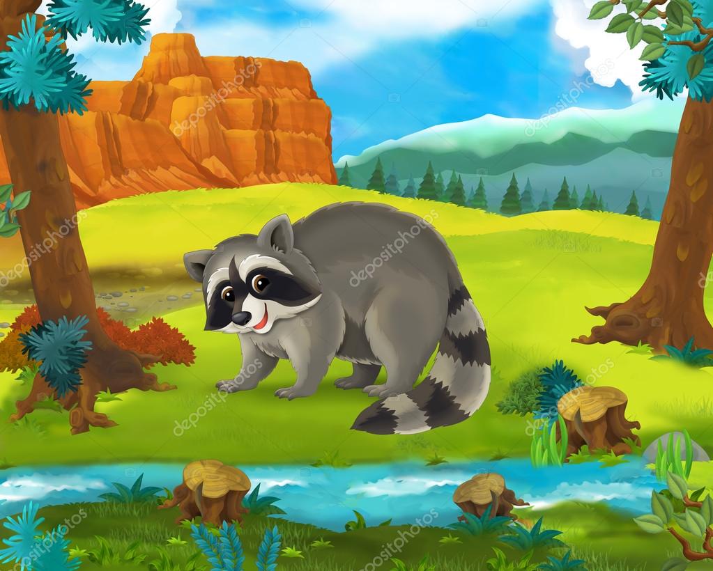 Imágenes De Dibujos Animados De Mapaches