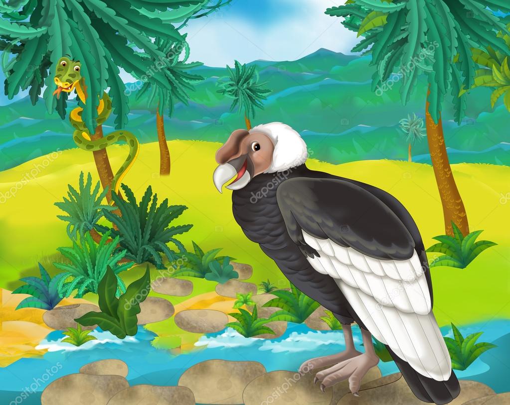 Cartoon condor Stock Photo by ©agaes8080 61358047