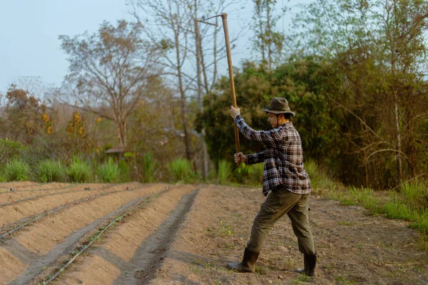 Hoe farming Stock Photos, Royalty Free Hoe farming Images | Depositphotos