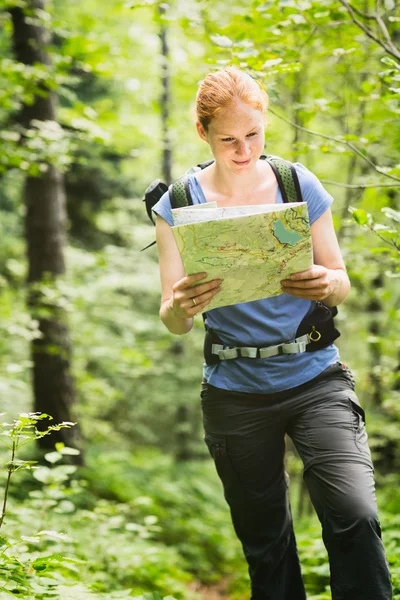 Hiker Reading a Map in a Forest - Stock Image - Everypixel