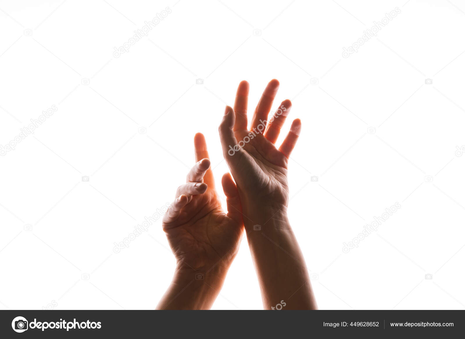 Hand gestures. Elegant female hands reach up, isolated on white, Stock ...