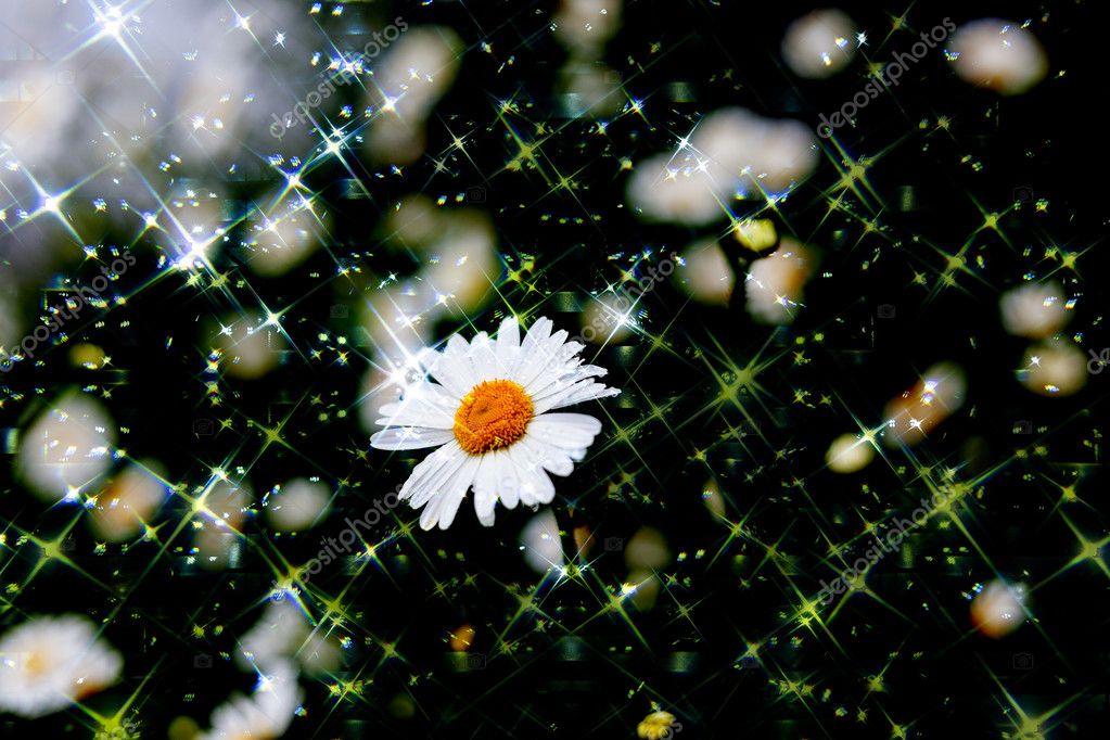 Flower background with colorful bokeh ,abstract floral spring ...