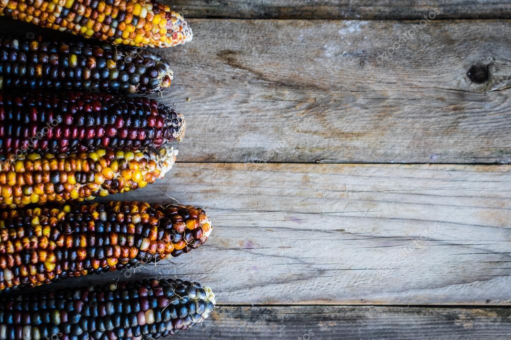 indian corn background