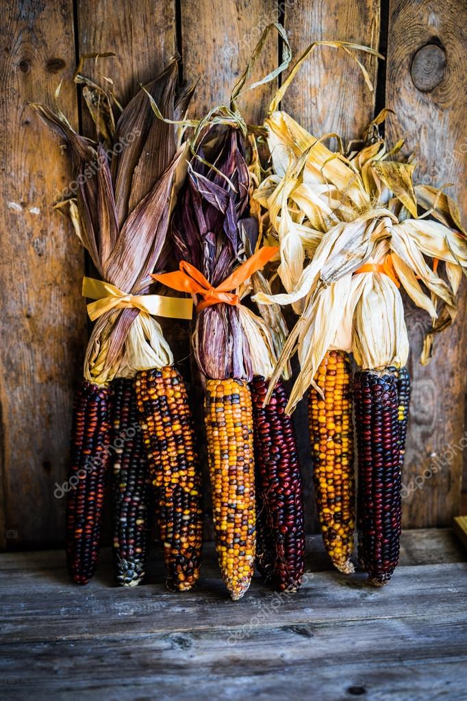 indian corn background