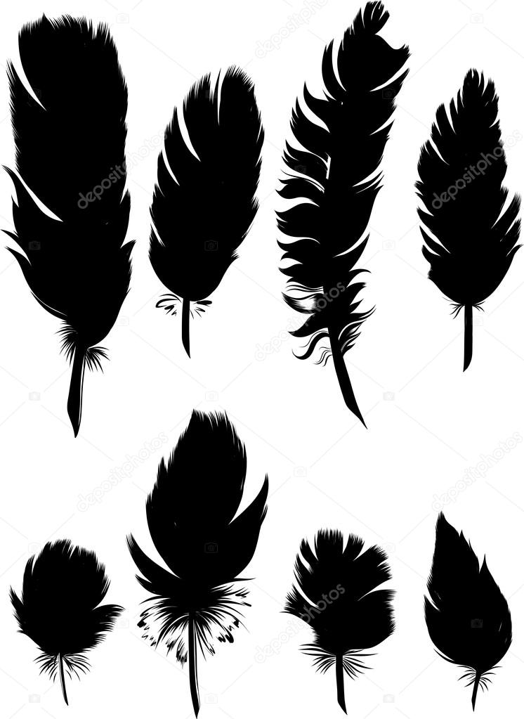 Vintage Feder Vektor Set. Handgezeichnete Illustration. Stock ...