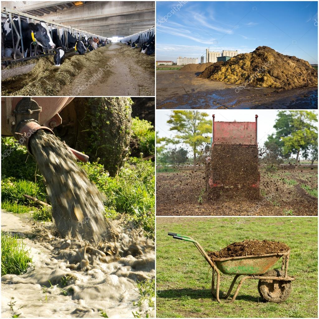 Fertilizing field — Stock Photo © budabar #53034929